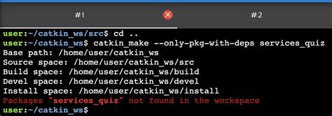 Services Quiz Packages Services Quiz Not Found In The Workspace ROS Basics In Days