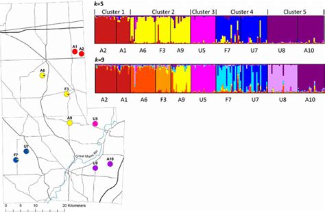 genetic cluster results from structure showing k 5 and k 9 each