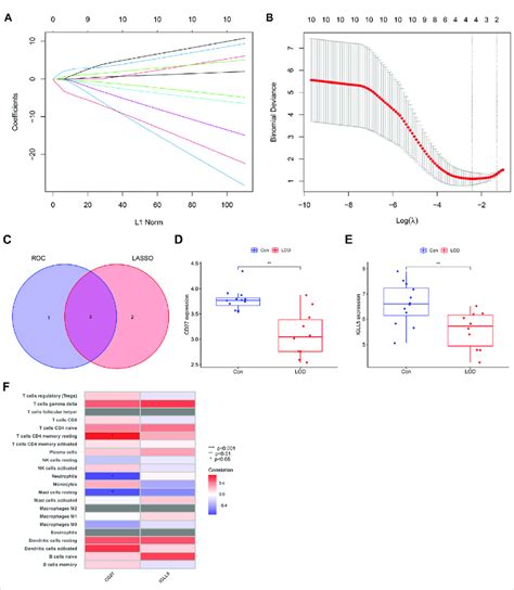 lasso regression model and correlation between genes and immune cells