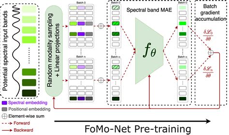 231210114 Fomo Bench A Multi Modal Multi Scale And Multi Task