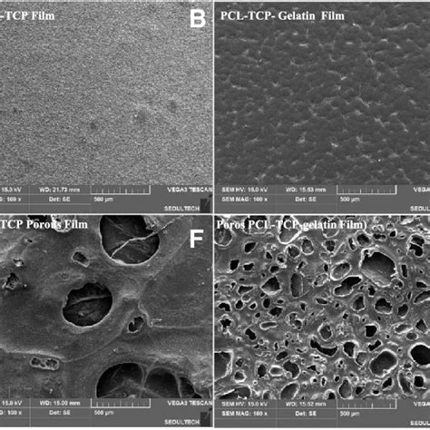 ftir analysis of diverse pcl tcp films download scientific diagram