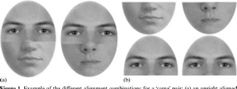 Figure 1 From The Role Of Holistic Processing In Judgments Of Facial