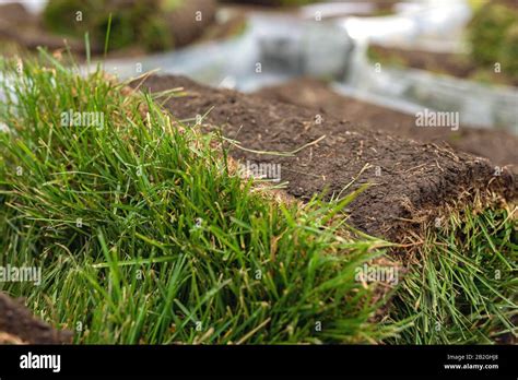 Turf Grass Roll Green Grass Carpet In Roll For Lawn Stack Of Turf