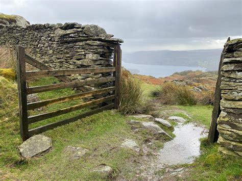 The Gate Effect By Amanda Clark The Splendid Mess