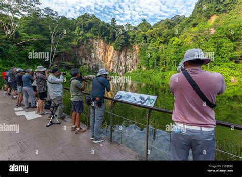 Group Of Passionate Wildlife Photographers Taking Picture Moment Of