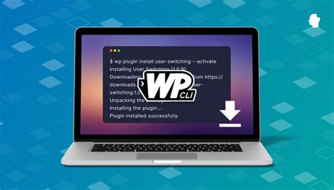 The Complete Guide To Installing WP CLI WP Content