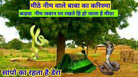 Mithe Neem Wale Baba Ki Dargah Dargah Mithieneem Wale Baba Ki Taragarh