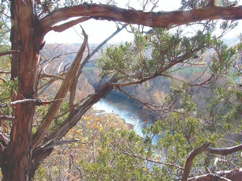 The Diverse Current River State Park • Missouri Life Magazine