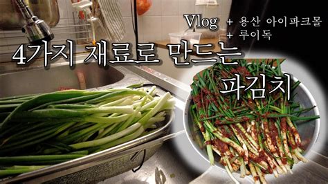 Vlog 파김치 만들기 용산아이파크몰 루이독 Youtube