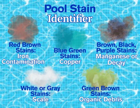 How To Identify And Get Rid Of Pool Stains For Good Mid America Pool Renovation Inc