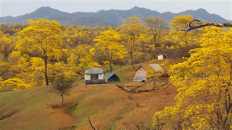 Guayacanes Tour Southern Ecuador 2018 Exploraves