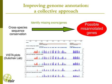 Ppt Gene Structure Annotation Powerpoint Presentation Free Download