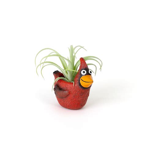 Mini Cardinal Blobhouse Planter Ruby Breezy Garden Ts