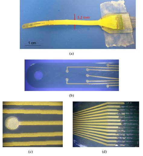 32 13 Electrode Arrays Developed By Imm Overview Of The Array A