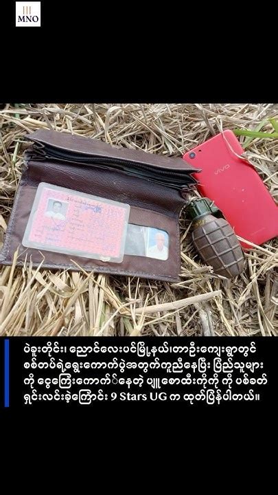 ညောင်လေးပင်မြို့နယ်တွင် ပျူစောထီး ၁ဦးကို တော်လှန်ရေးတပ်များက ပစ်ခတ်ရှင