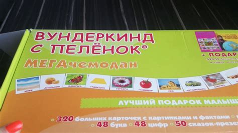 Вундеркинг с пеленок. Мегачемодан. Развитие ребёнка. - YouTube