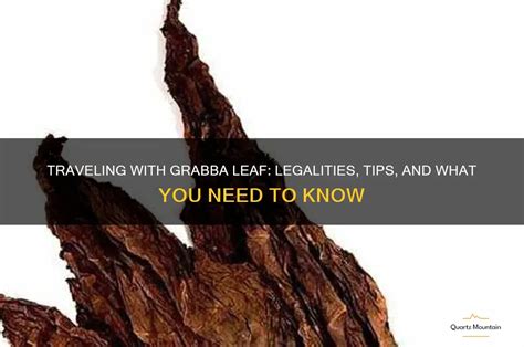 Traveling With Grabba Leaf Legalities Tips And What You Need To Know