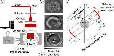 Multiview Hilbert Transformation In Full Ring Transducer Array Based Photoacoustic Computed