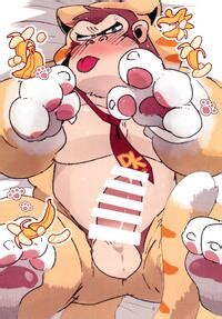 Kemoket Kokemomo Hyaku DK Hon Donkey Kong Super Mario Brothers E Hentai Lo Fi
