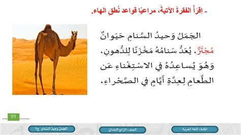 الصف الرابع اللغة العربية الجمل وحيد السنام ج1 Youtube