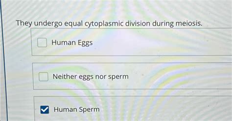 Solved They Undergo Equal Cytoplasmic Division During