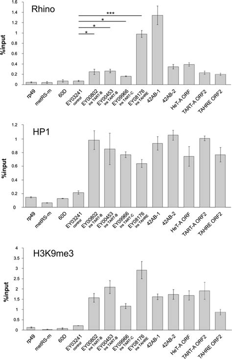 Key Role Of Pirnas In Telomeric Chromatin Maintenance And Telomere