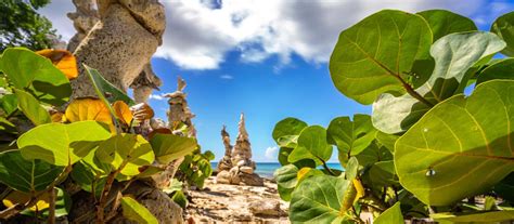 Remembering Anthony Delisle Codrington