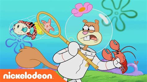 Spongebob Sandy Cheeks Squirrel