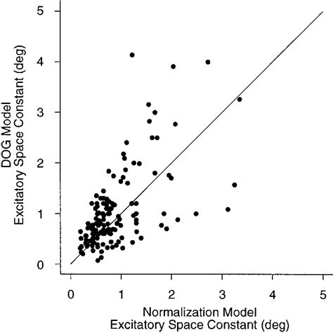 Excitatory Space Constant Comparison Between Models The Excitatory