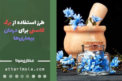 طریقه مصرف برگ کاسنی طرز تهیه دمنوش کاسنی