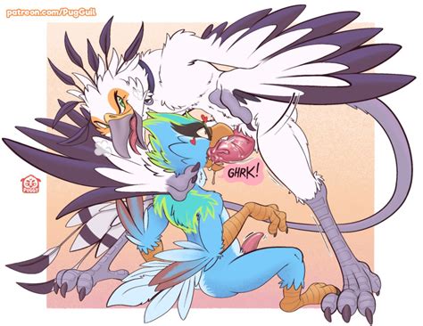 Rule 34 4 Toes Accipitriform Anisodactyl Anthro Anthro On Anthro