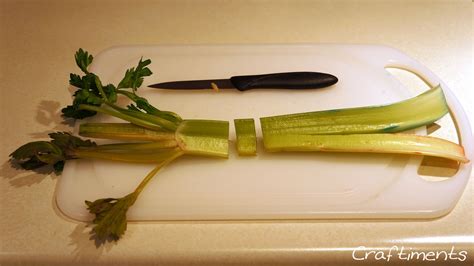 Xylem Celery Experiment Our Celery Experiment — Plaistow And