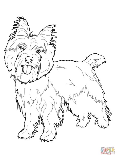 Cocker Spaniel Coloring Page At Free Printable