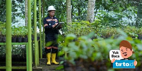 Saham Antam Bersinar Di Puncak Daftar Indeks Bei