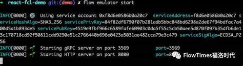 使用 Javascript 与 Flow 交互js Onflow Csdn博客