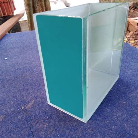 Jual Soliter Ikan Cupang Selfi Soliter Background Putih Dan Alas Putih Cermin Kanan Dan Kiri