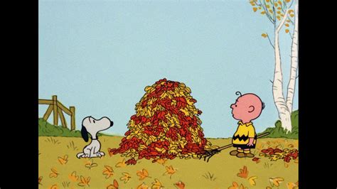 Peanuts Fall Wallpapers Top Free Peanuts Fall Backgrounds