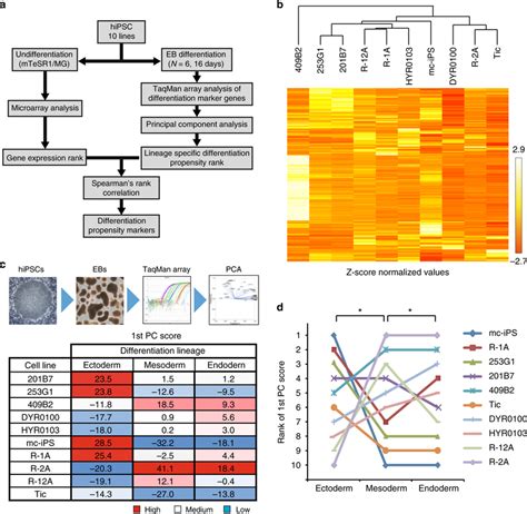 Profiles Of Hipsc Lines Showing Differentiation Propensities A Outline