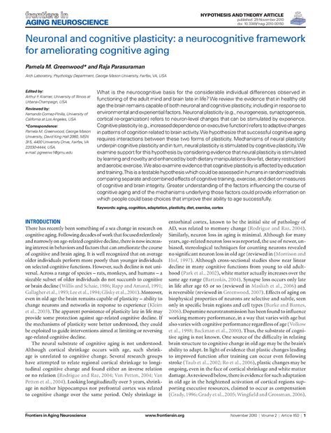 Neuronal And Cognitive Plasticity Aging Neuroscience Hypothesis And