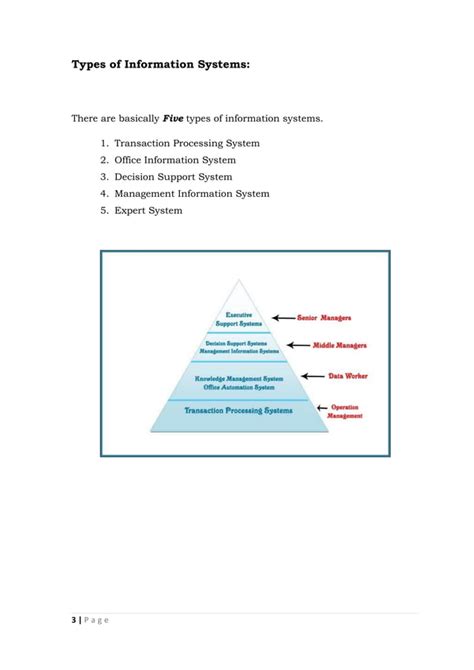 Information System Used In Mcdonalds Pdf Operating Systems Computer Software And Applications