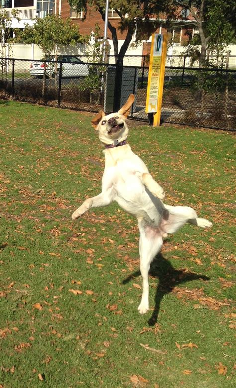 Caption Needed Imgur