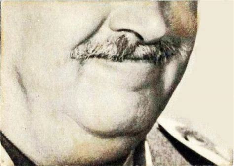 1965 Fleer Hogans Heroes 59 What Do You Mean Lillies For Col Klink