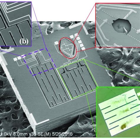 Schematic Of The Measurement Setup For Accelerometer Download