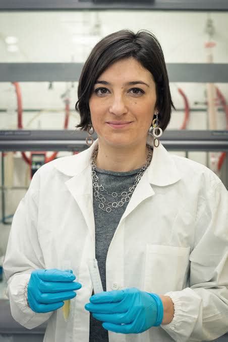 Prof Valentina Cauda The Chemists Interactions