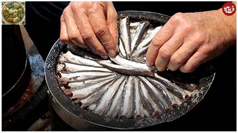 ویدئو مراحل دیدنی صید و فرآوری صدها تن ماهی ساردین