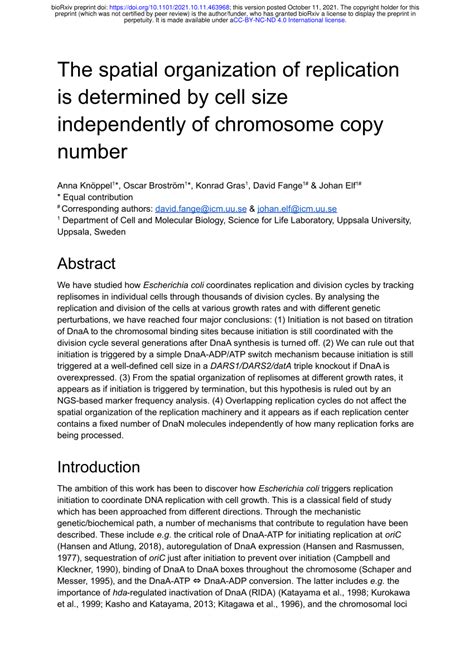 Pdf The Spatial Organization Of Replication Is Determined By Cell