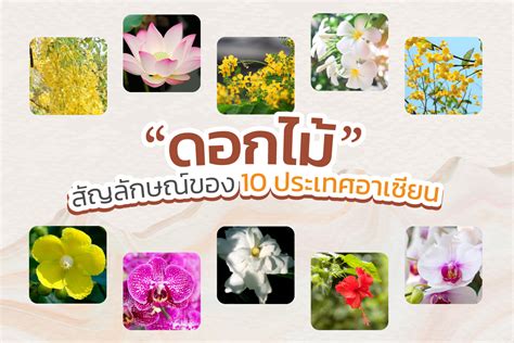 ดอกไม้ประจำชาติในอาเซียน แบบทดสอบ