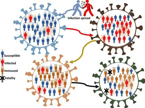Herd Immunity Scenario 19 Download Scientific Diagram