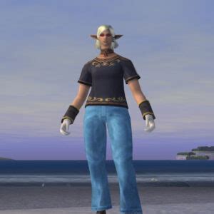カジュアルウェアで出かけよう Ff11回顧録