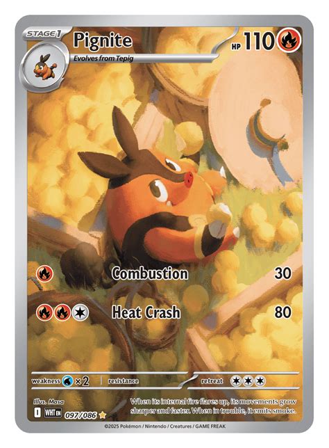 Pignite Trainers Website